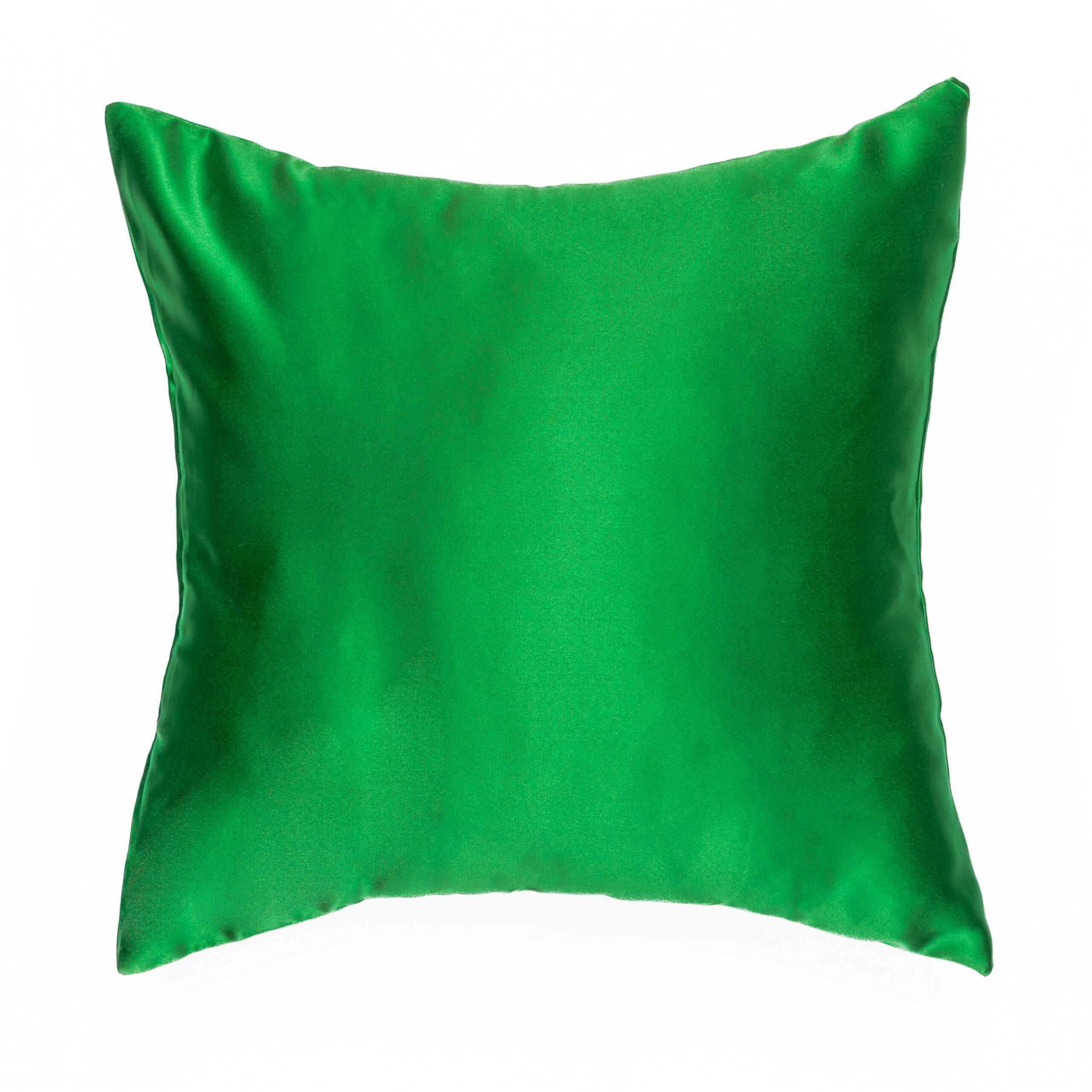 Kelly Lamour Pillow - Over The Top